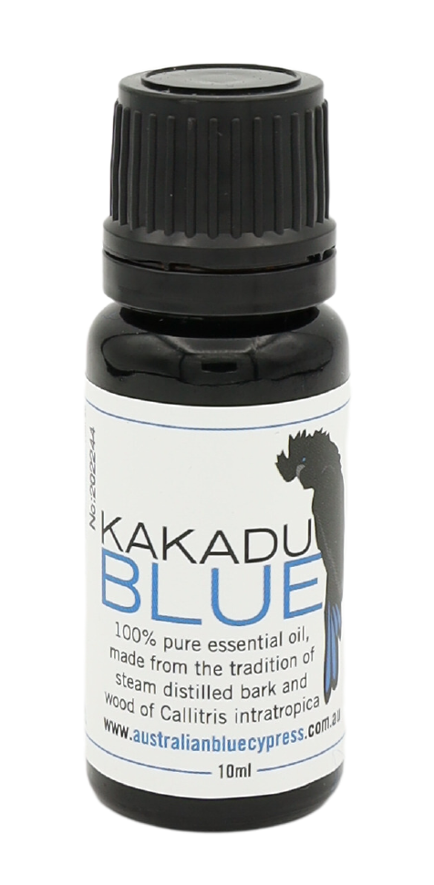Australian Blue Cypress Oil – Kakadu Blue