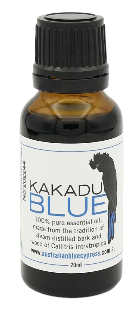 Australian Blue Cypress Oil – Kakadu Blue