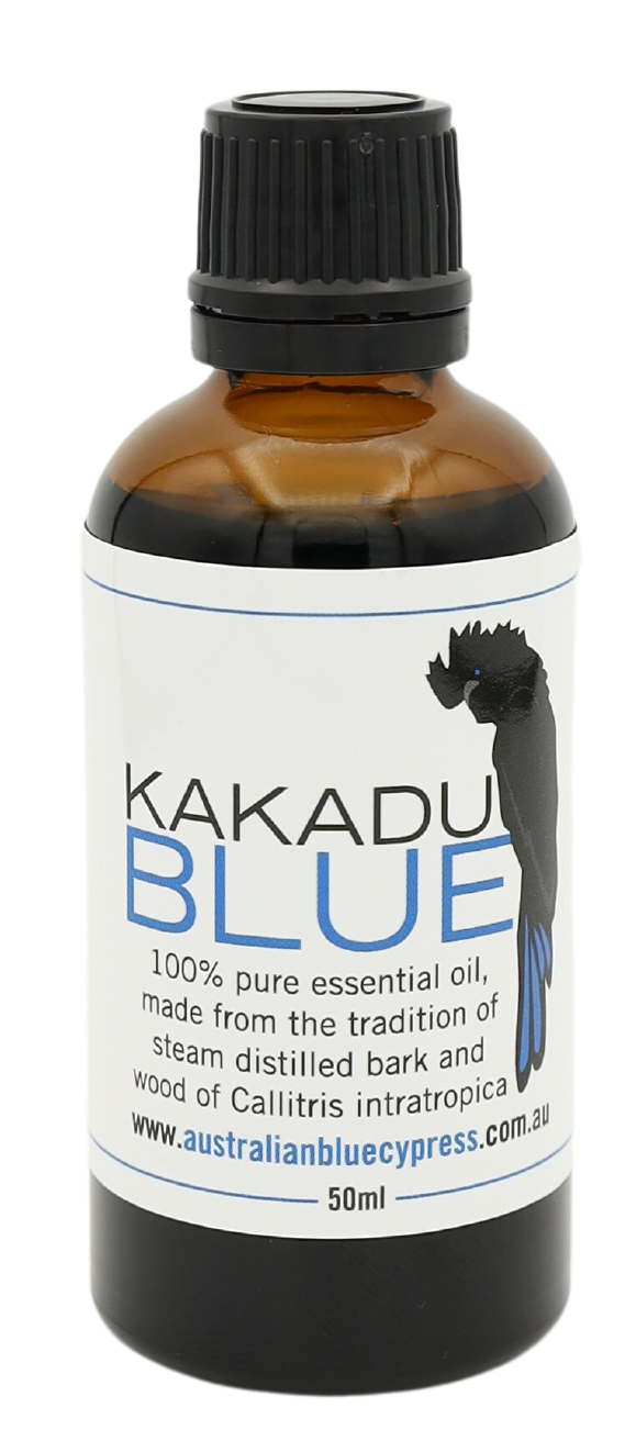 Australian Blue Cypress Oil – Kakadu Blue